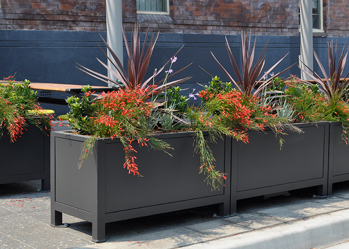 Frame Planter | Street Furniture Australia